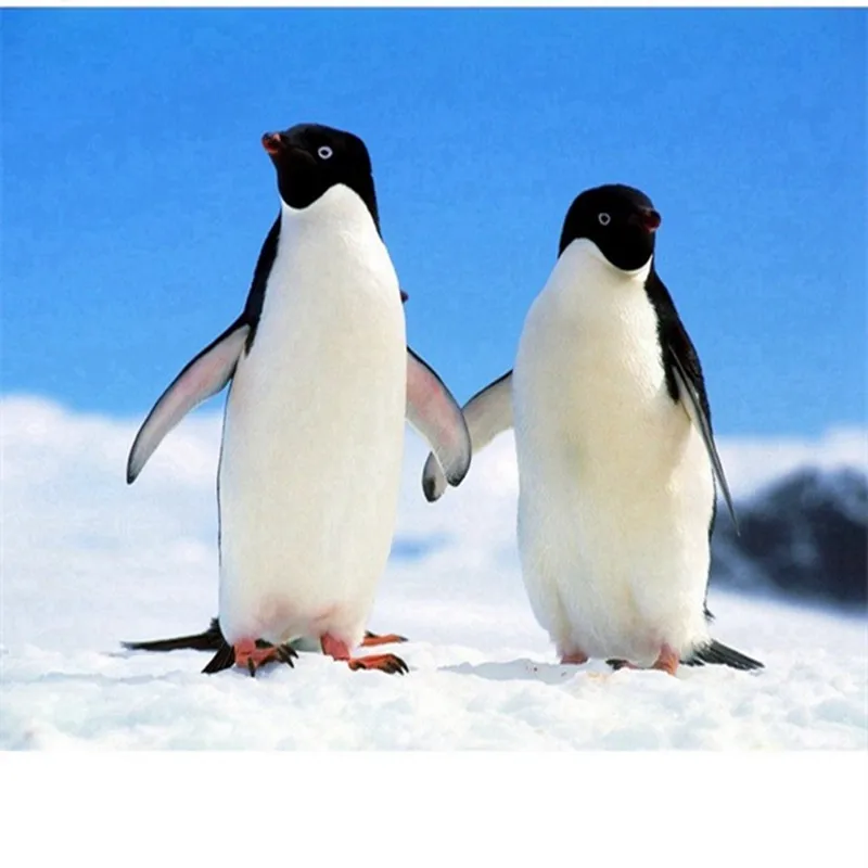 Сколько стоит пингвин живой: Сколько стоит живой пингвин в России и ...
